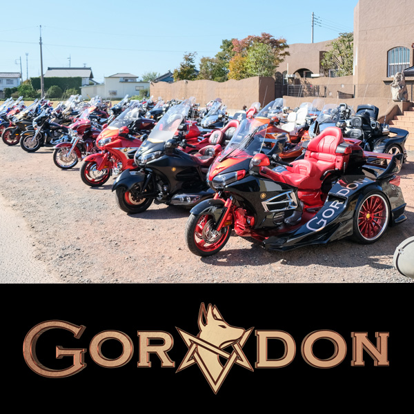 Gallery - GORDON TRIKES